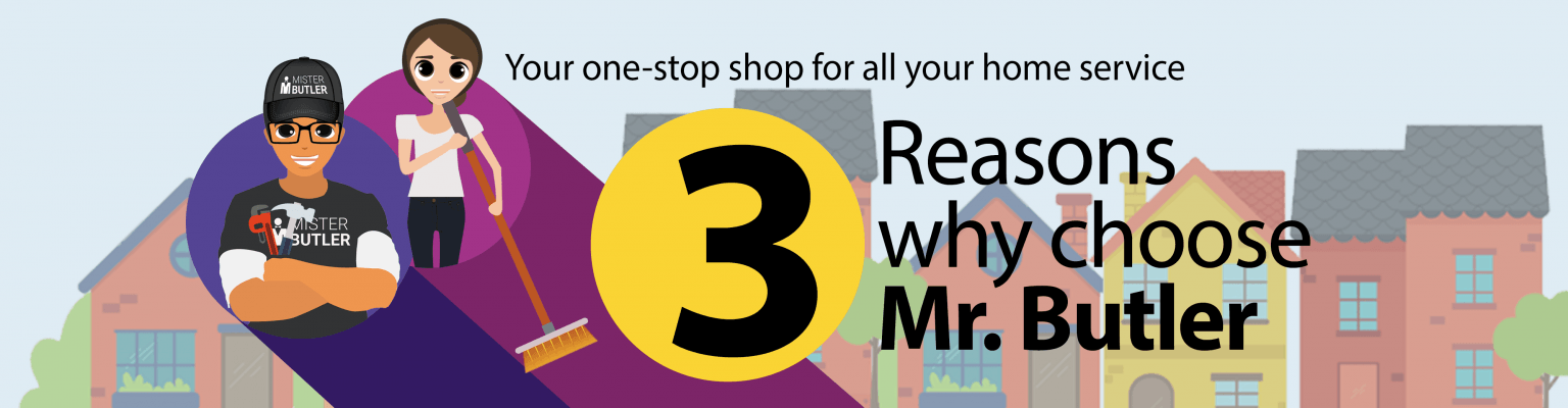 Expert Pest Control, Cleaning & Repair Services – Trusted