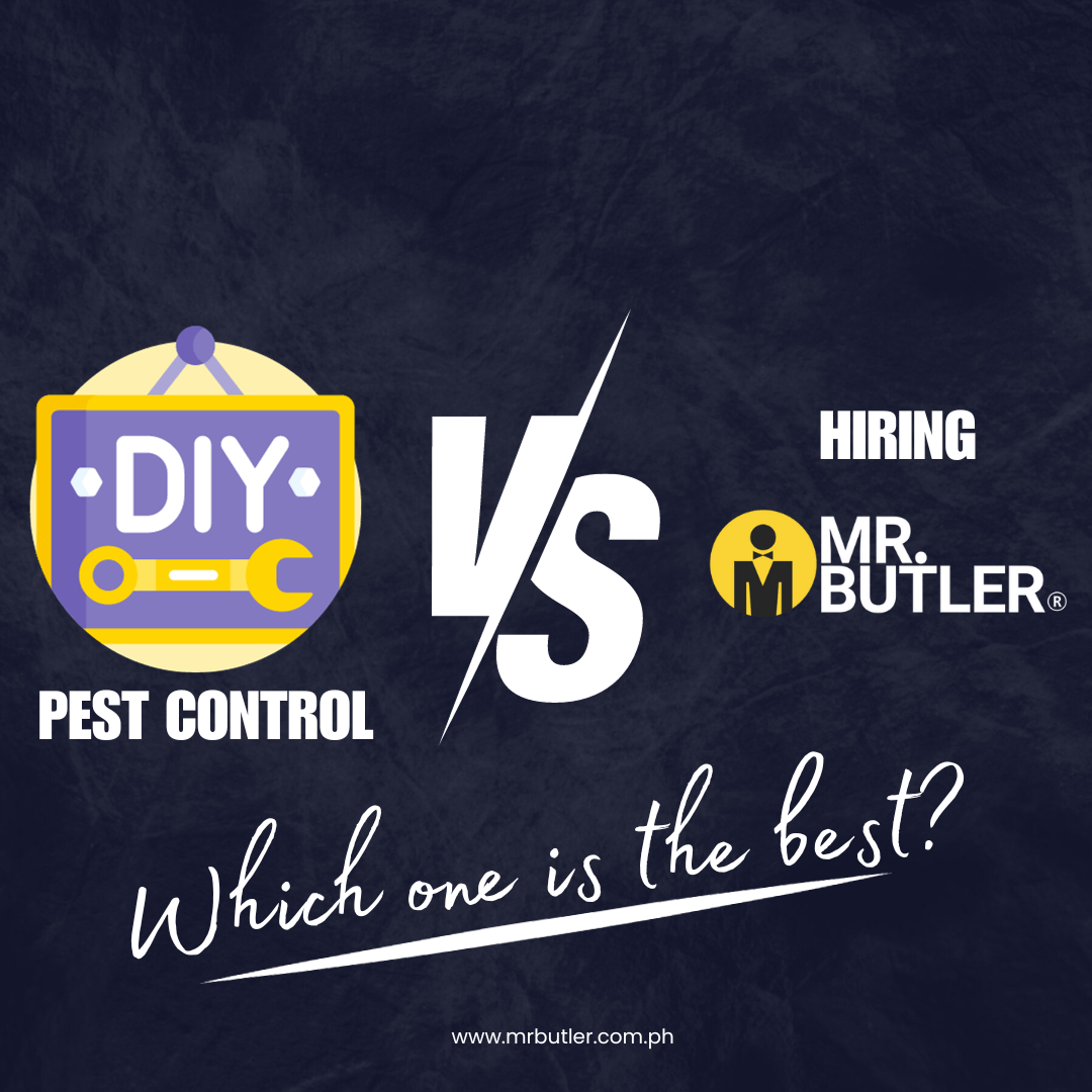 DIY pest control vs. hiring Mr. Butler Home Services - Mr. Butler